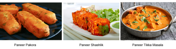 Frozen Diced Paneer – Sangam Paneer